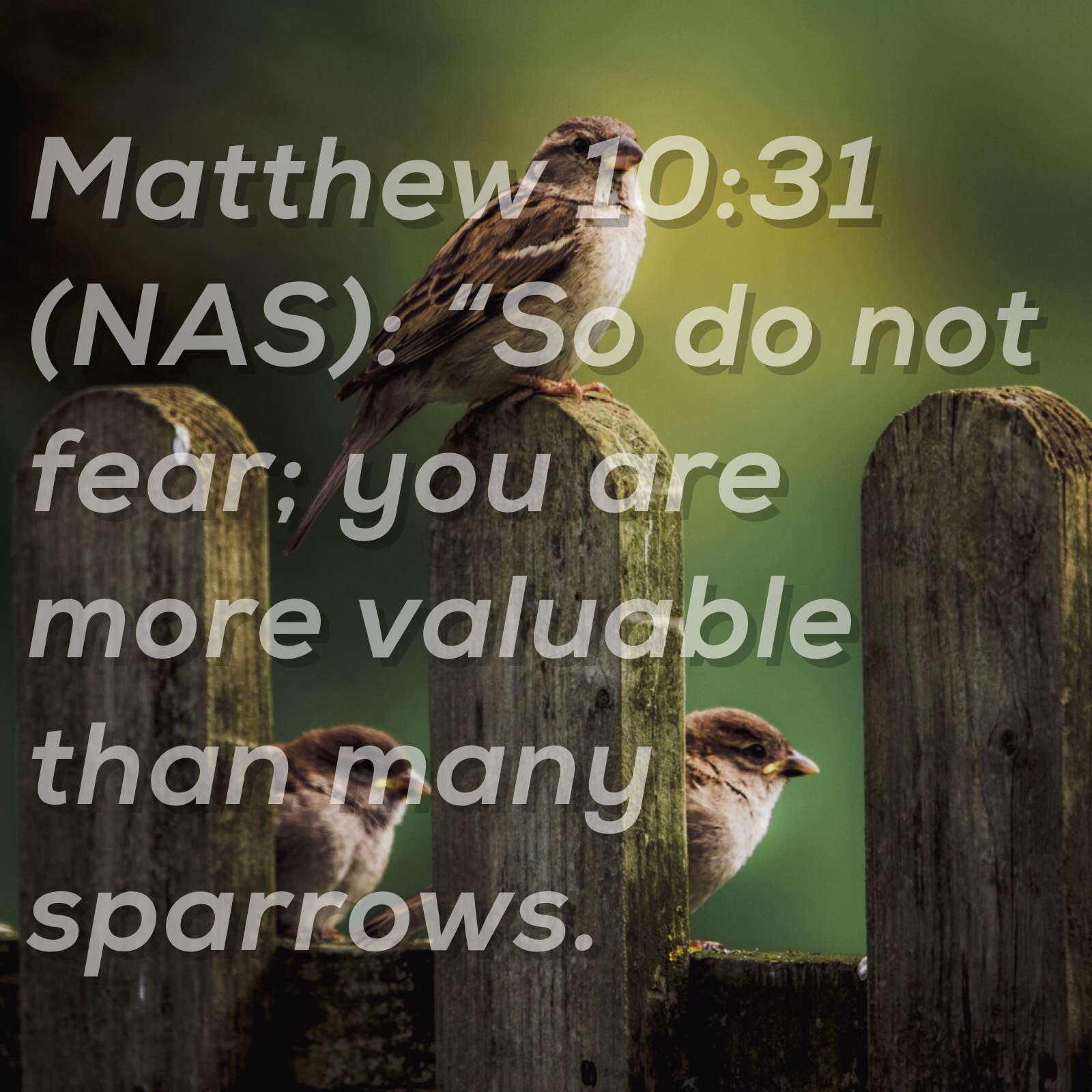 Denying Christ: The Meaning of Matthew 10:33 – The Point of Reflection