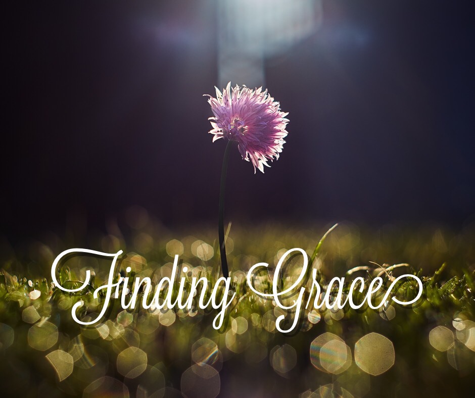 Fallen From Grace – The Point of Reflection