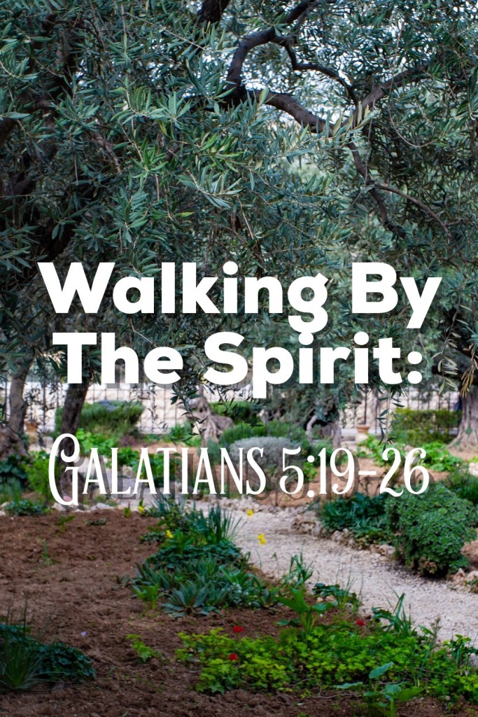 Walking By The Spirit: Galatians 5:19-26 – The Point of Reflection