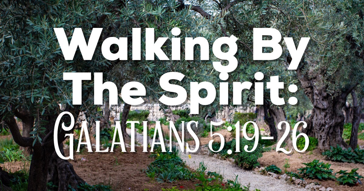 Walking By The Spirit: Galatians 5:19-26 – The Point of Reflection